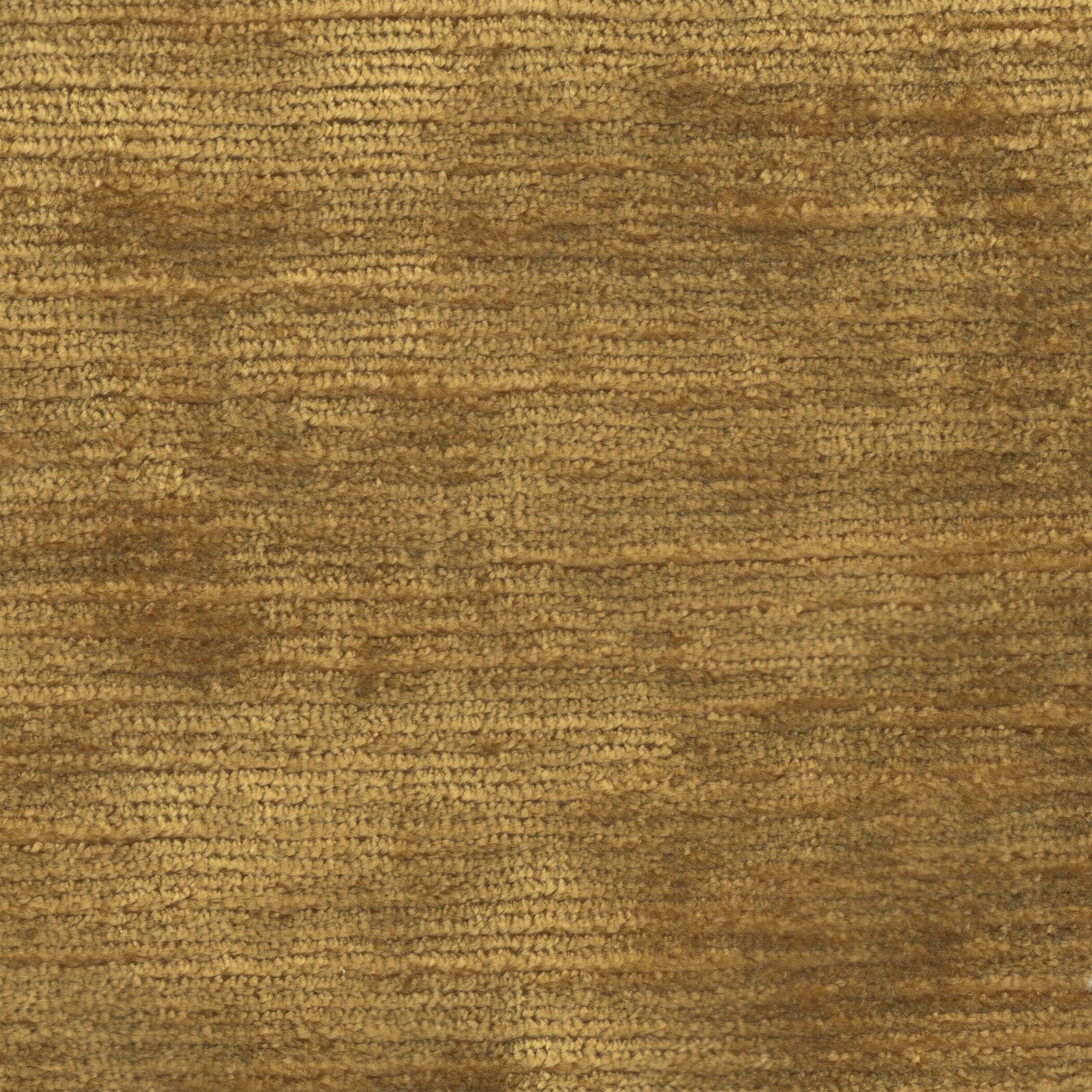 ELECTRA BUTTERCUP – WARECO