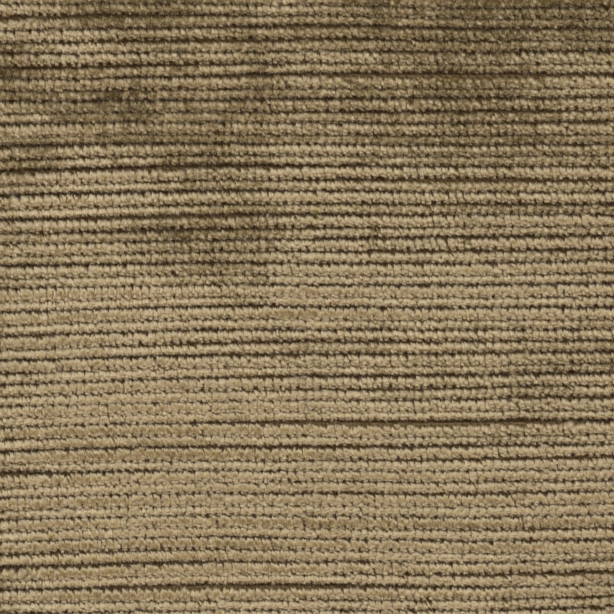 ELECTRA CUB – WARECO