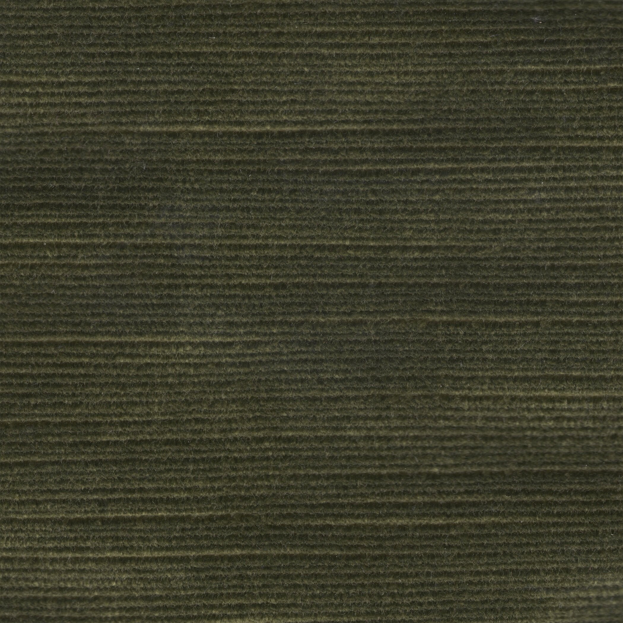 ELECTRA OLIVE – WARECO