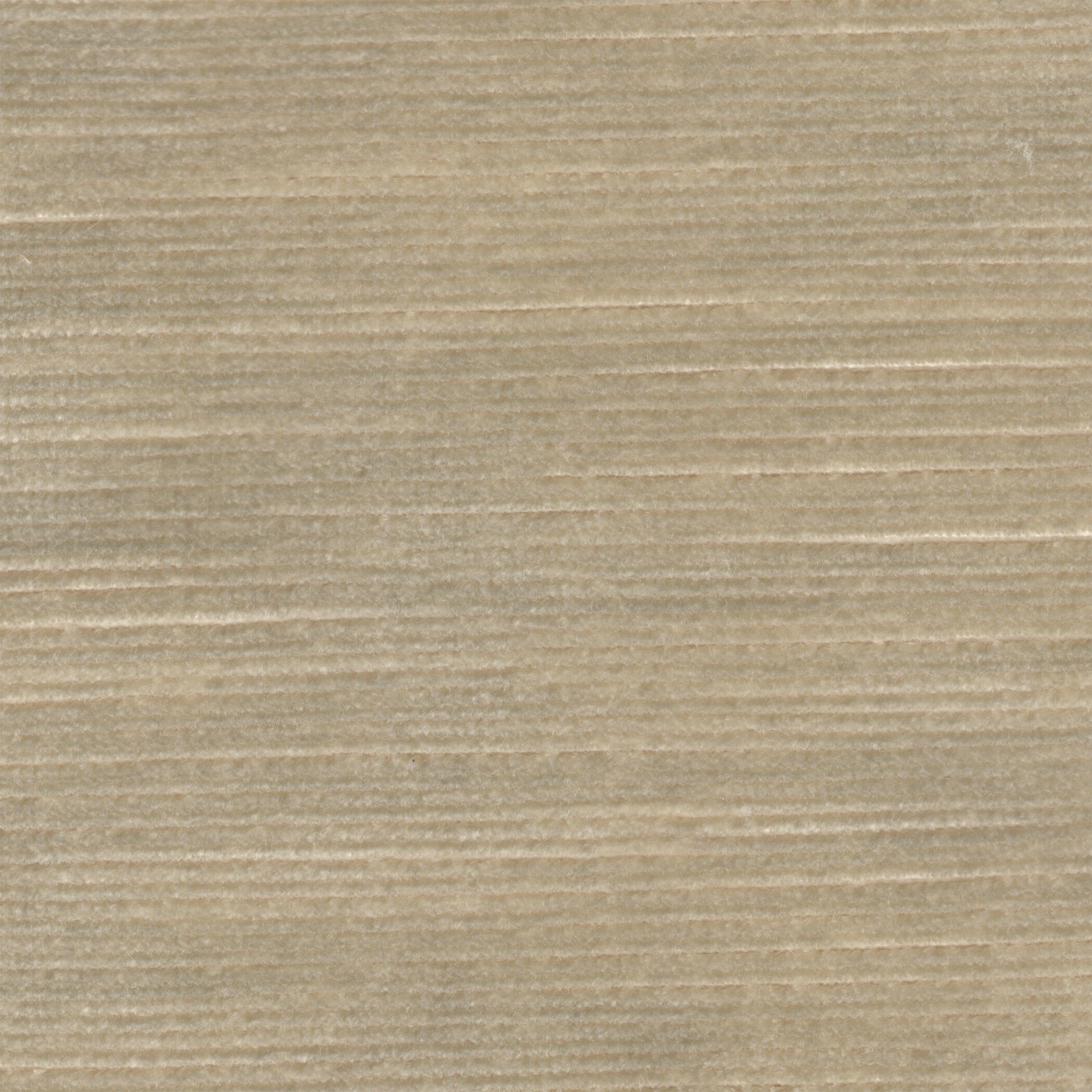 ELECTRA SESAME – WARECO