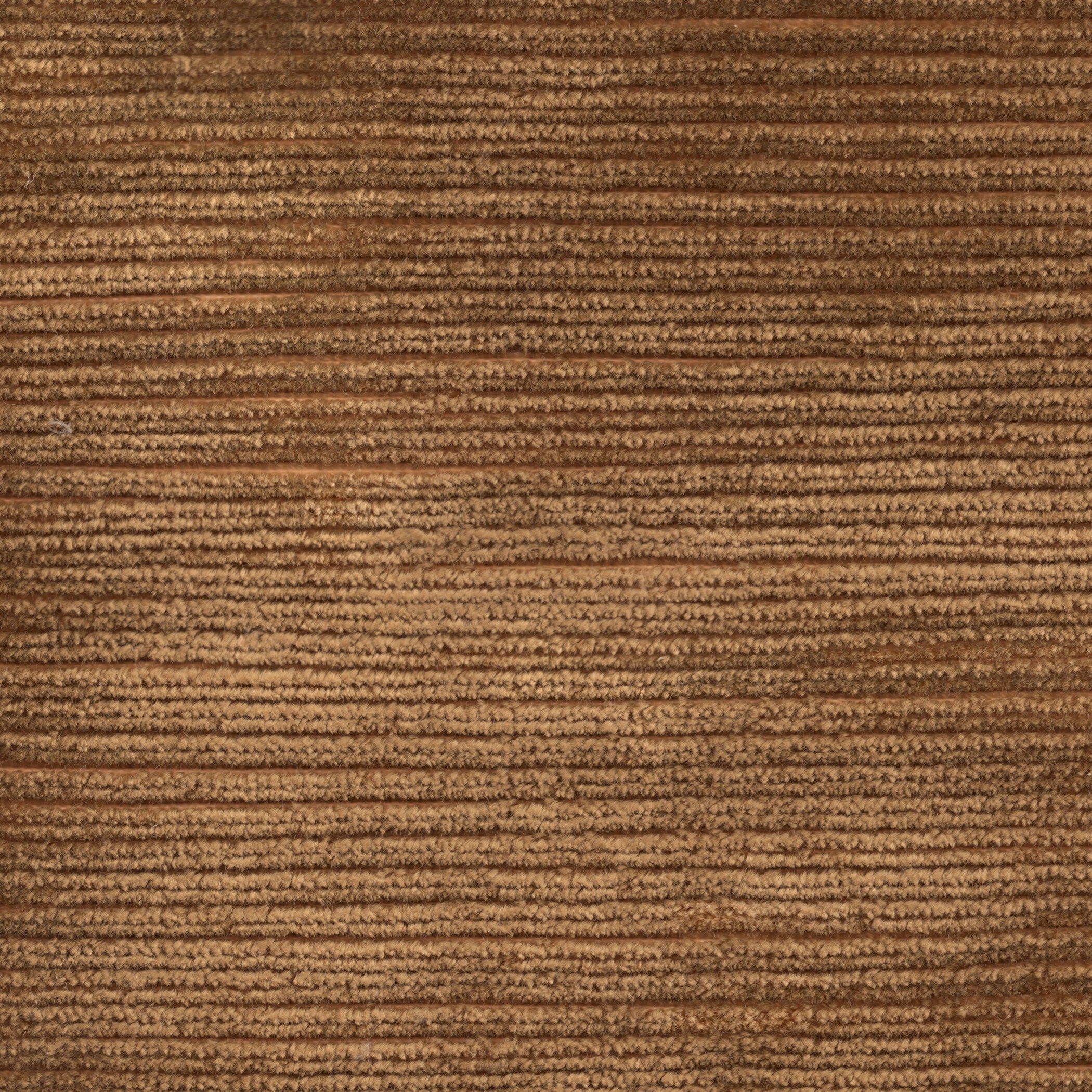 ELECTRA SONG THRUSH – WARECO