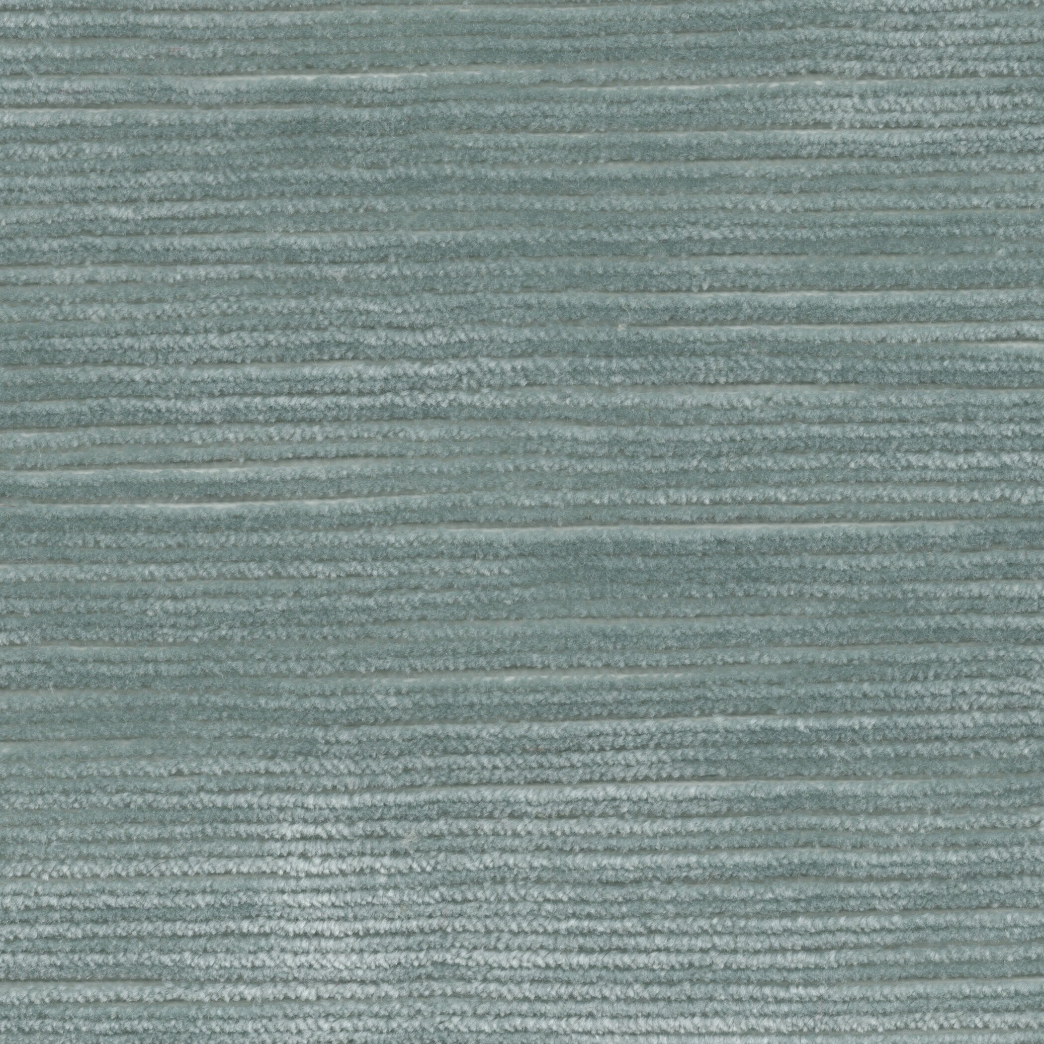 ELECTRA WILD DOVE – WARECO