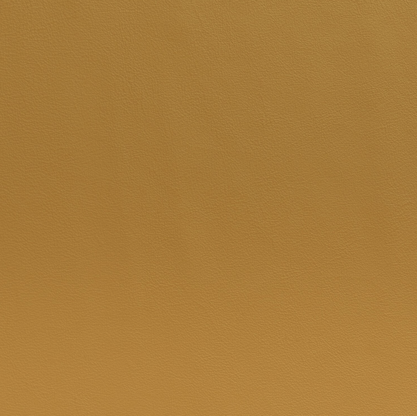 SNAP - WHATS UP BUTTERCUP – WARECO