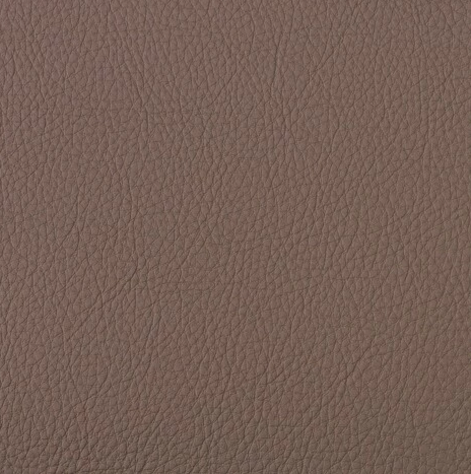 STAGE IN COYOTE – WARECO