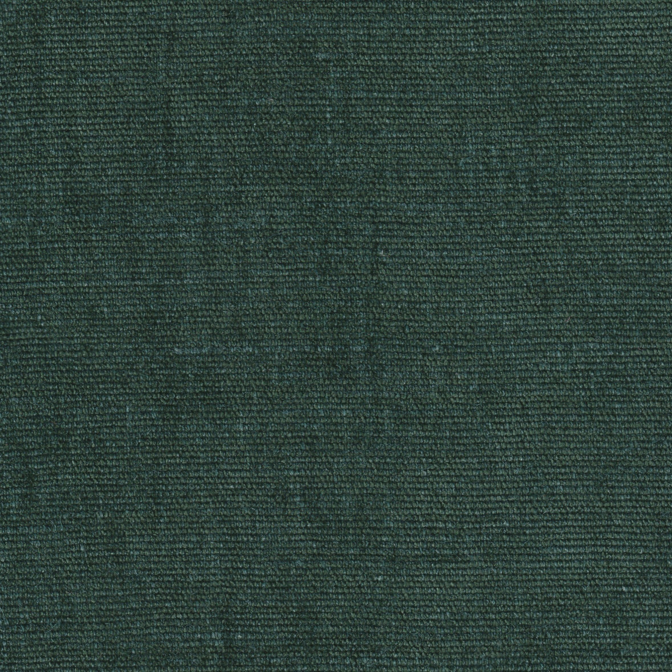 TREVI IN PEACOCK – WARECO