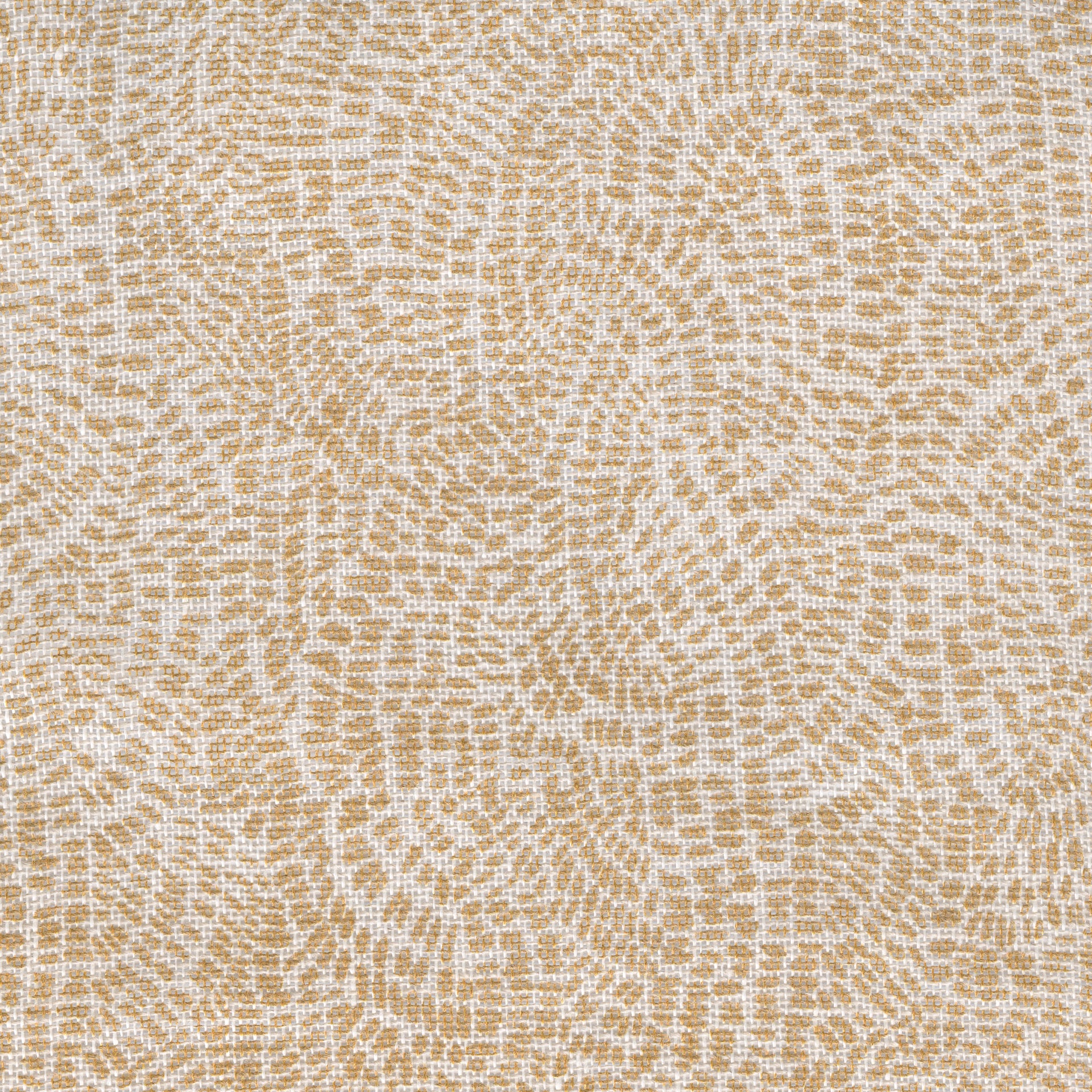 Digital Print – WARECO