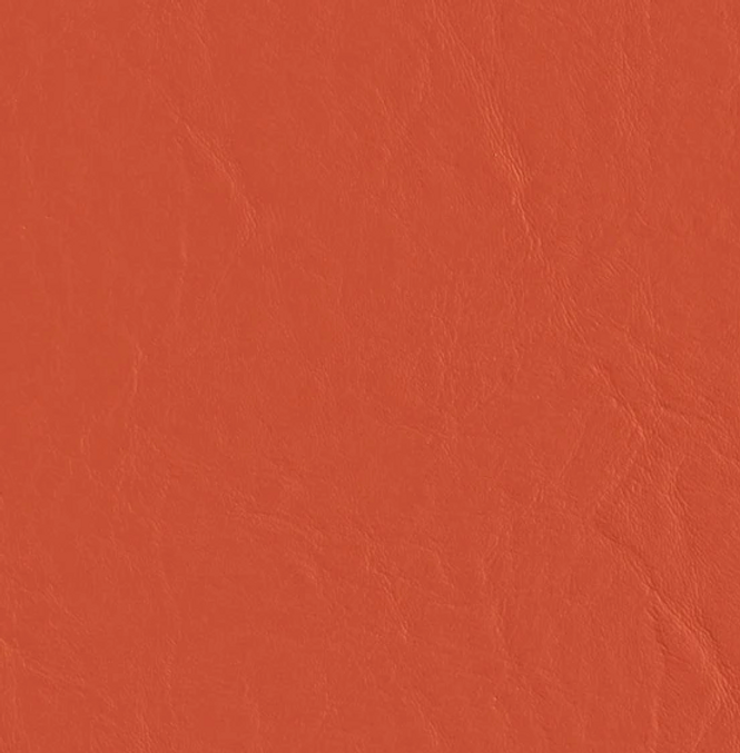 Marquee Root – WARECO