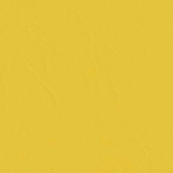 Marquee Sunflower – WARECO