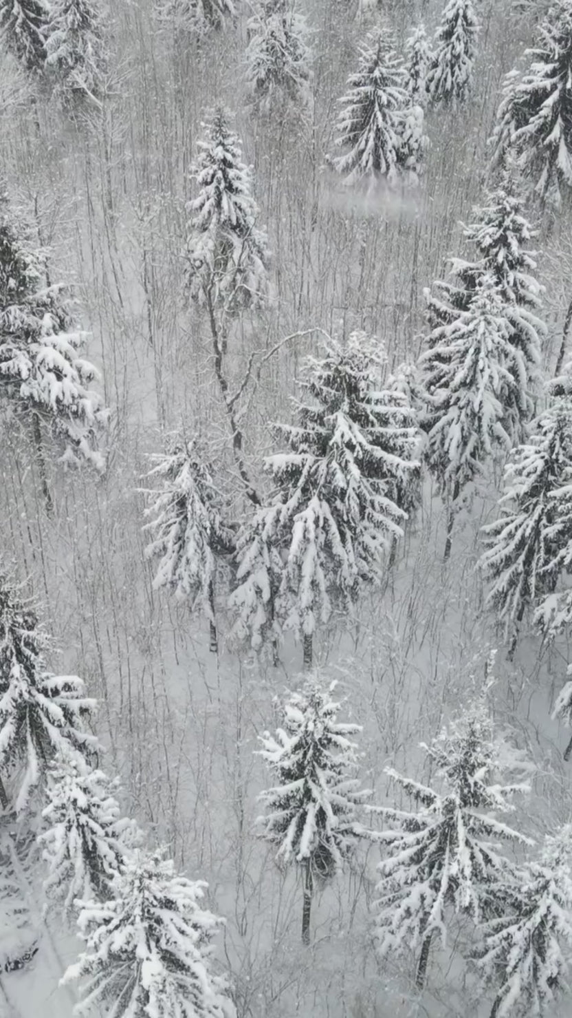 WARECO Winter Playlist