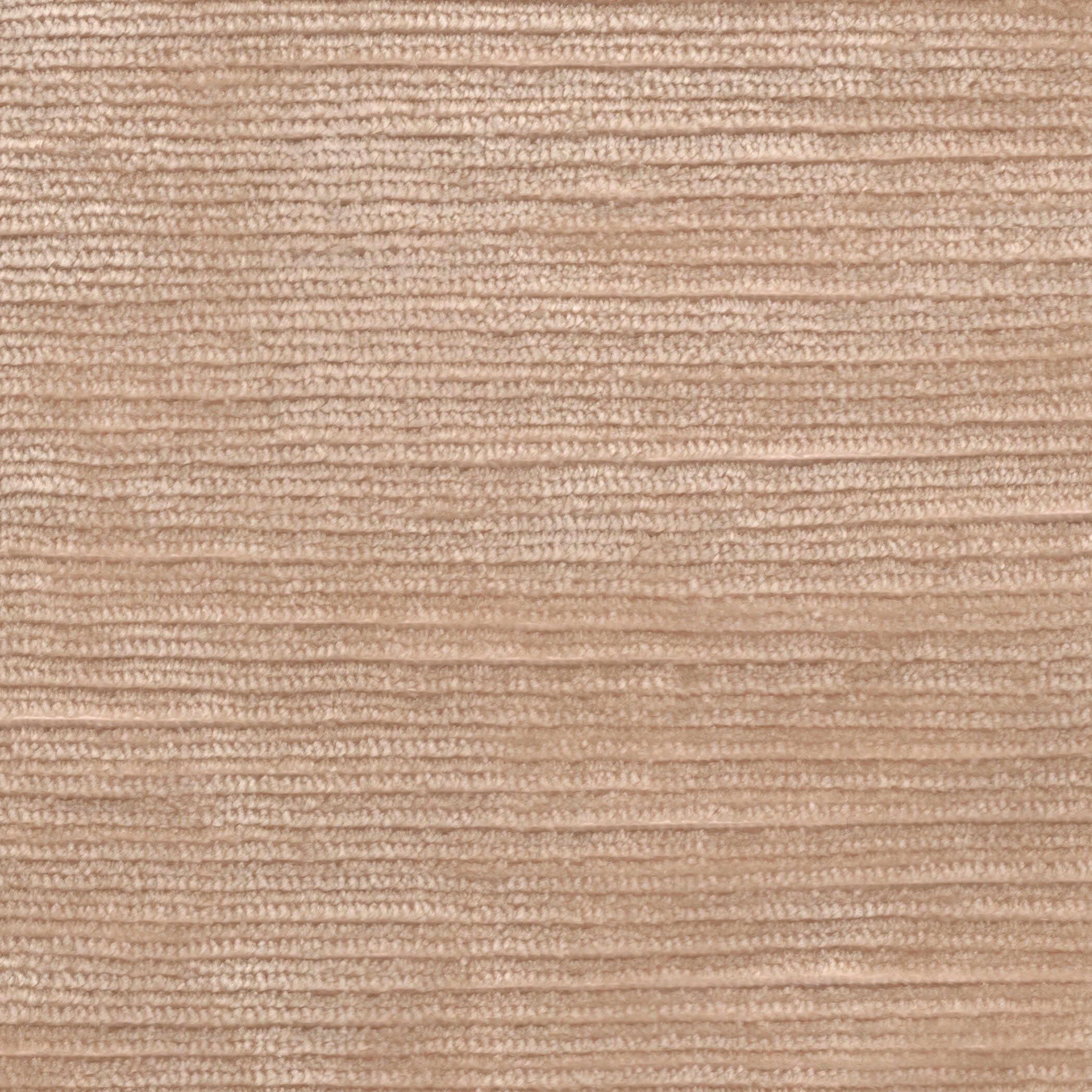 ELECTRA ROSE DUST – WARECO