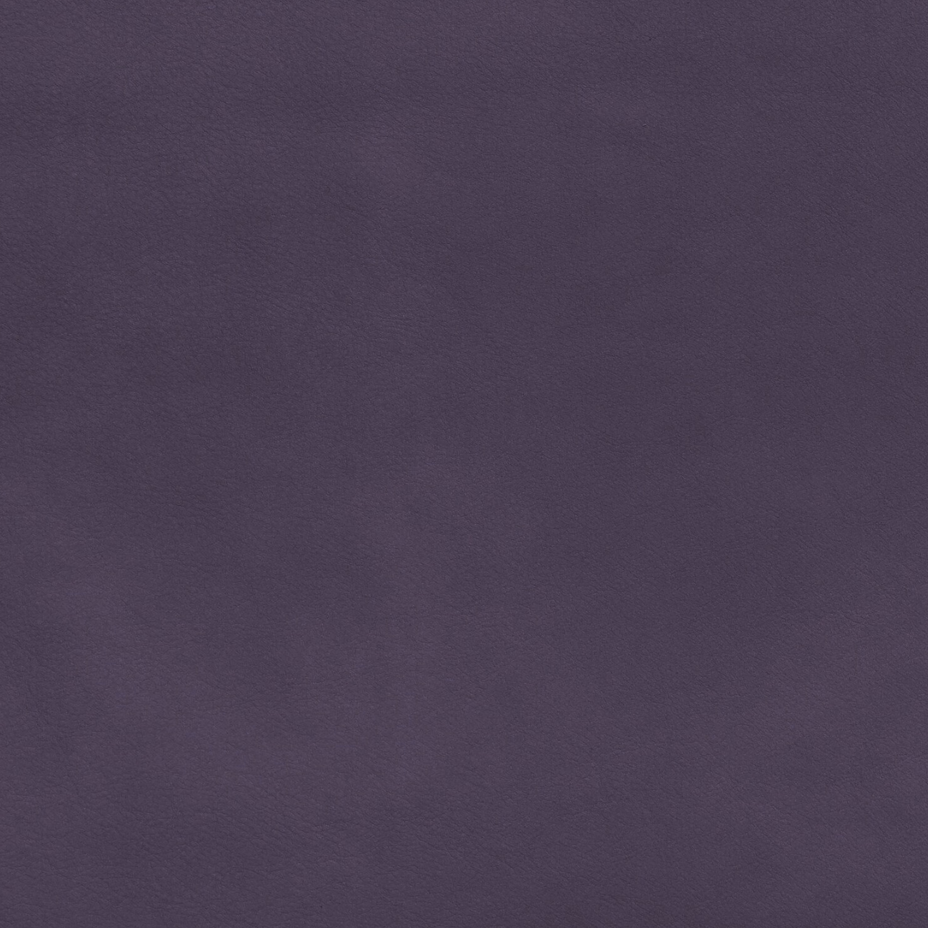 WHAM - PURPLE HAZE – WARECO