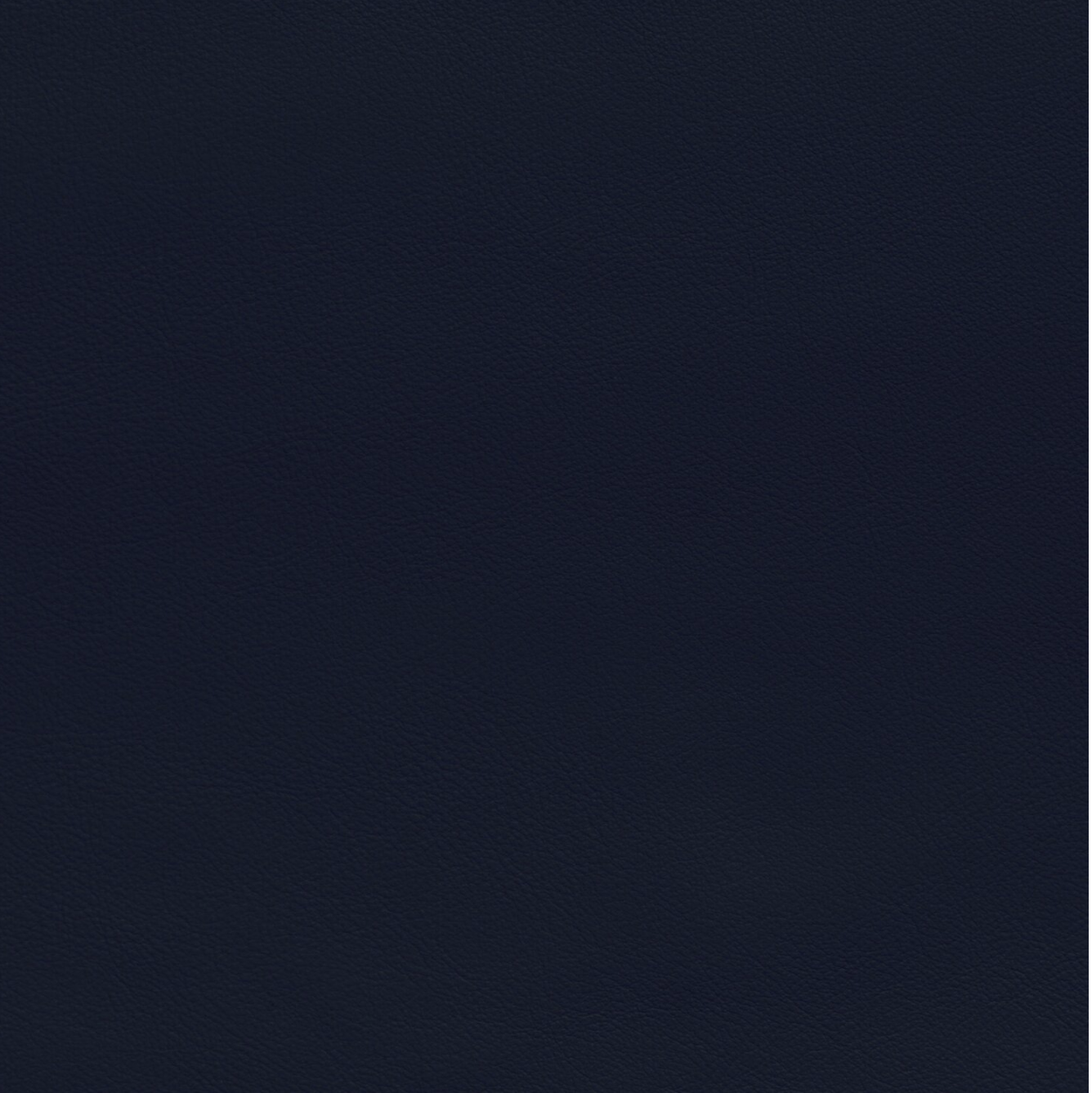 SNAP - ICE ICE NAVY – WARECO