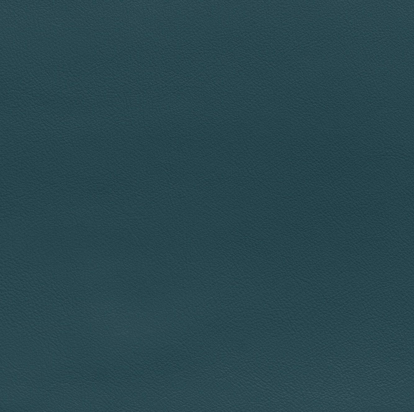 SNAP - ALOHA BLUE – WARECO