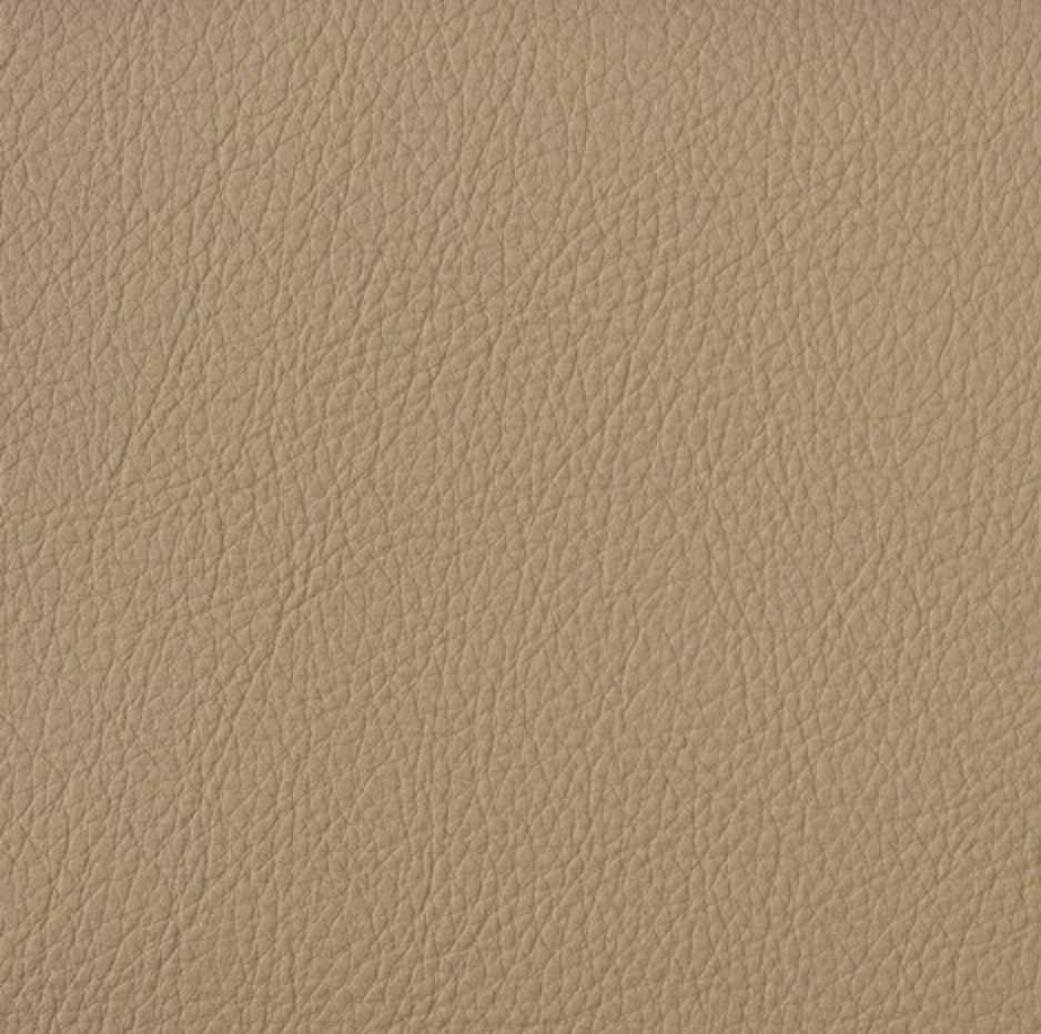 STAGE IN FAWN – WARECO