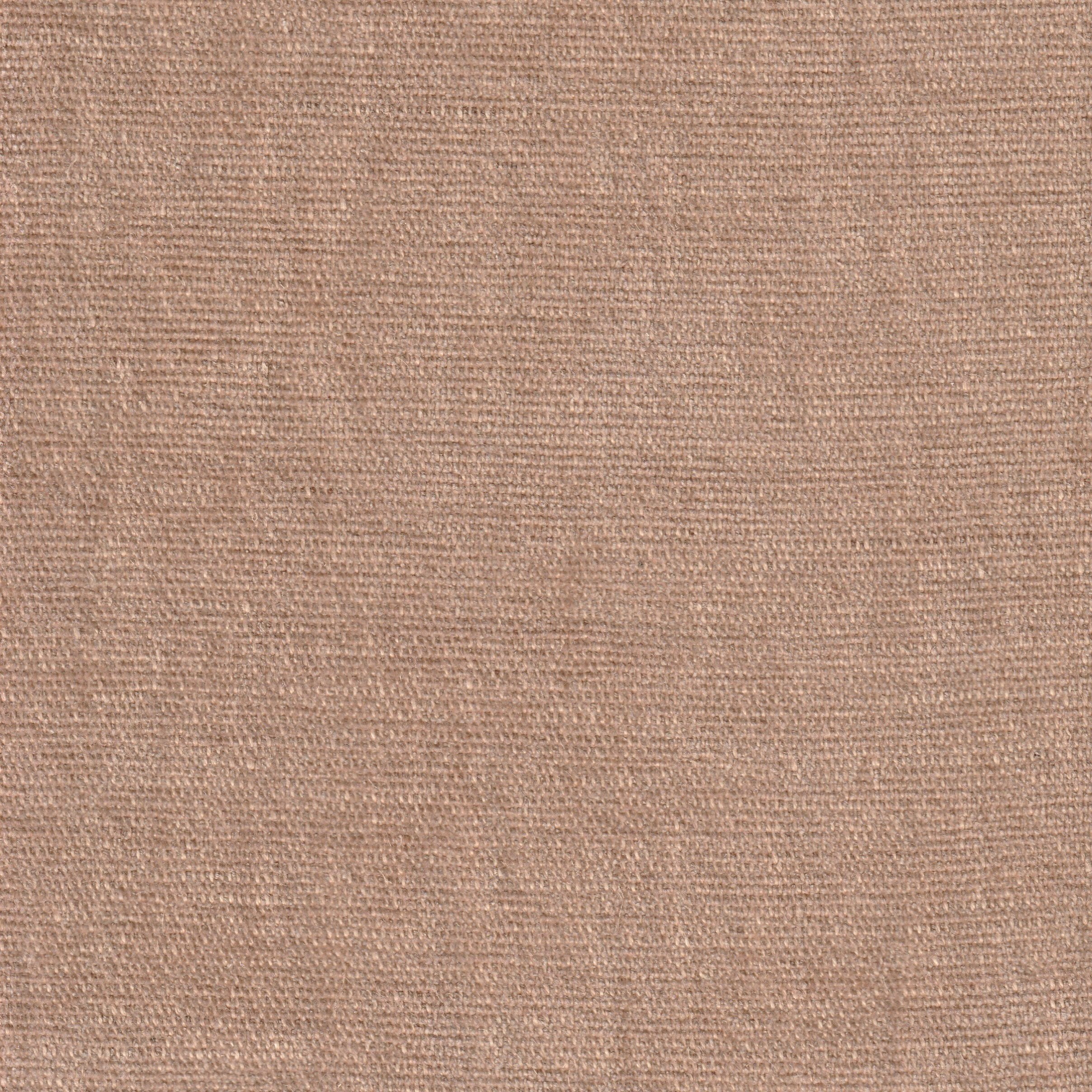 TREVI IN SHELL – WARECO